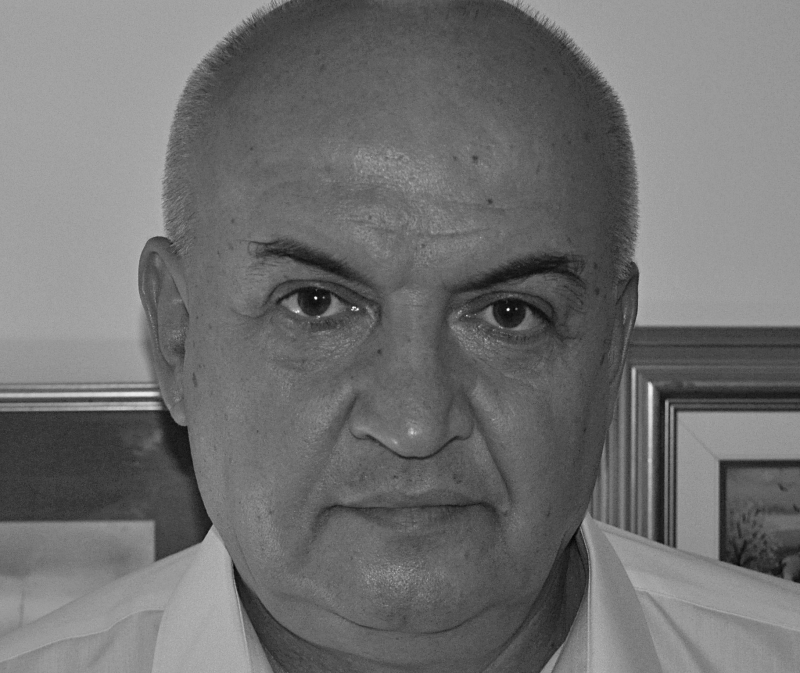 Despre crize. Pericole și soluții - Contributors